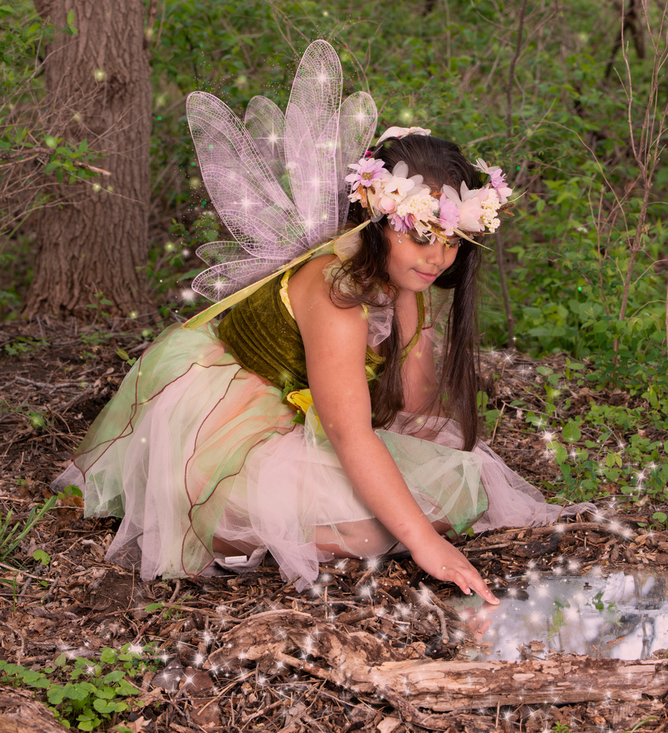 Magical Fairy Mini | Magical Images